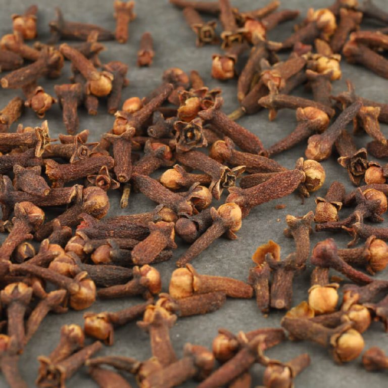 Ceylon Spice Company - Spice and Food Processing Company in Sri Lanka