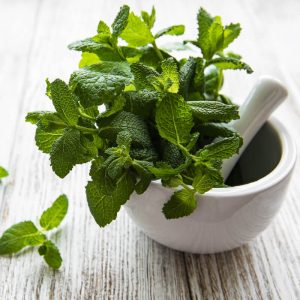 Ceylon Spice Company - Spice and Food Processing Company in Sri Lanka